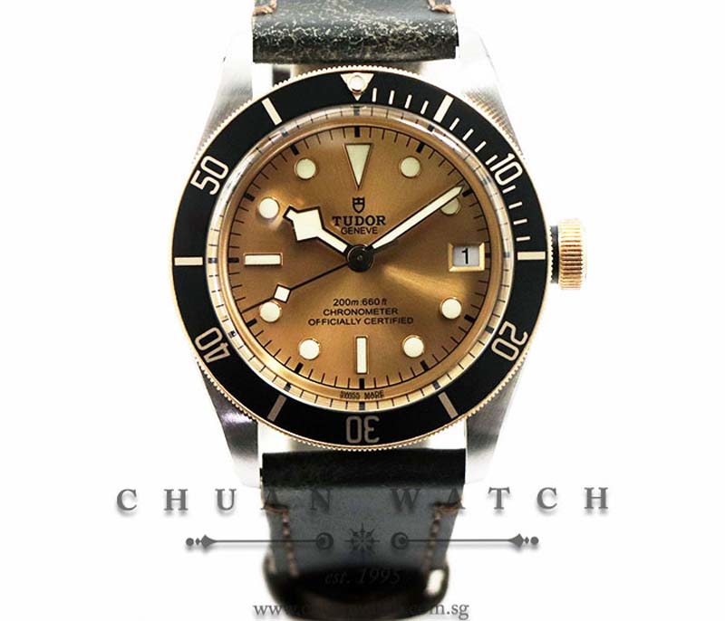 Tudor Black Bay S&G Two-Tone 41mm 79733N Champagne :: Chuan Watch ...